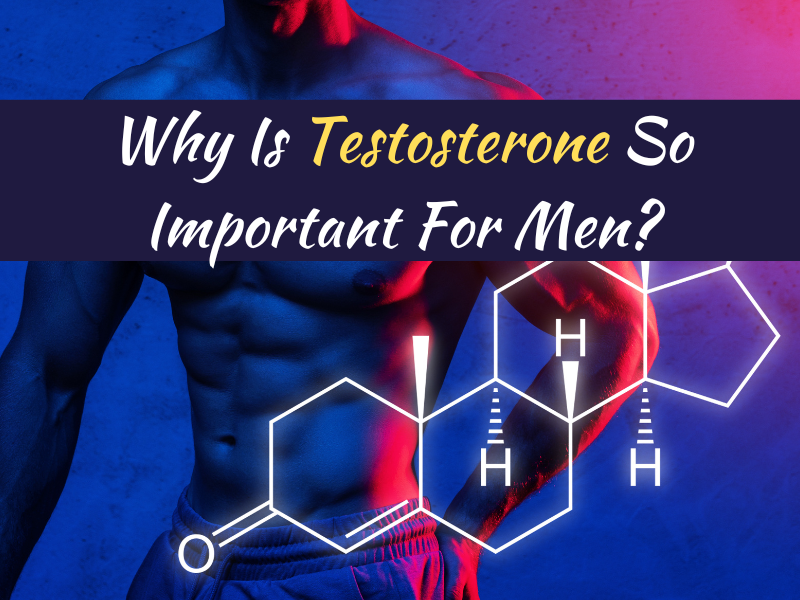 Why Is Testosterone So Important For Men? – Health Wellness 360