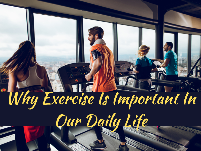 Why Exercise Is Important In Our Daily Life – Health Wellness 360